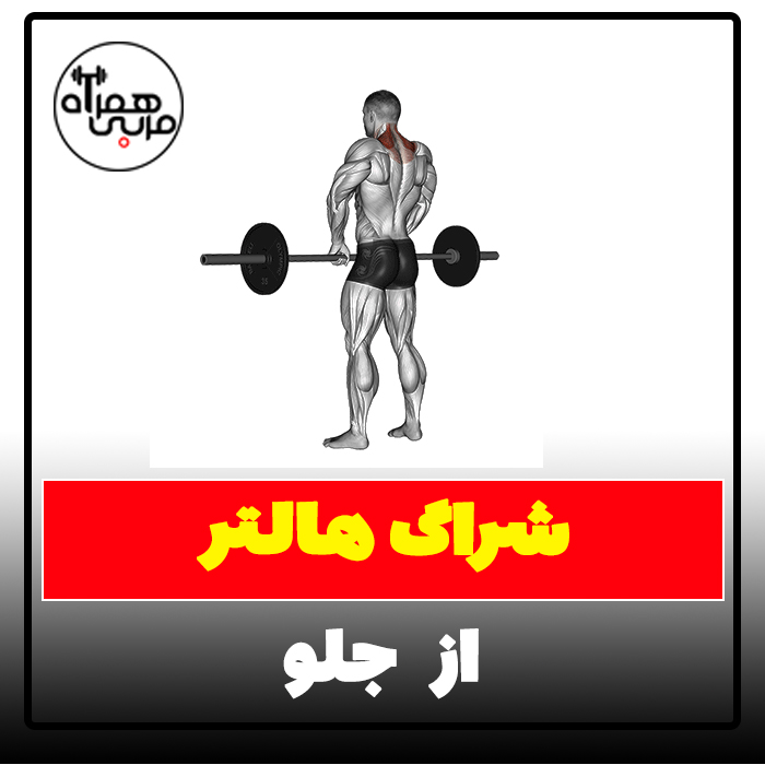 شراگ هالتر از جلو آموزش اجرای صحیح حرکت آموزش ویدیویی اجرا