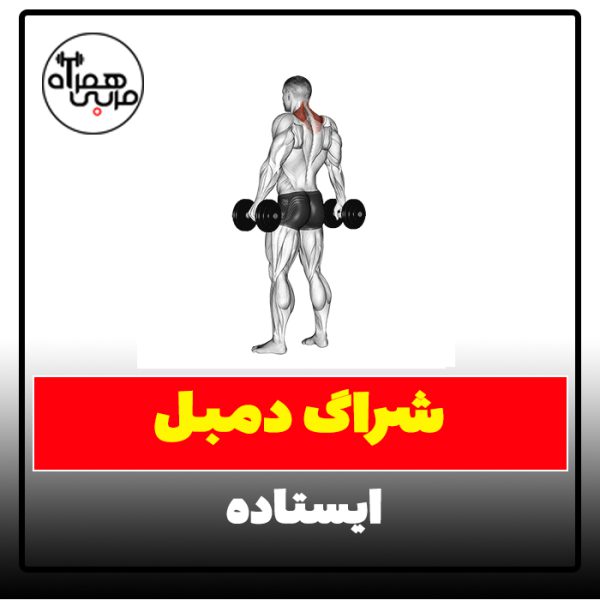 شراگ دمبل ایستاده آموزش اجرای صحیح حرکت آموزش ویدیویی 8281