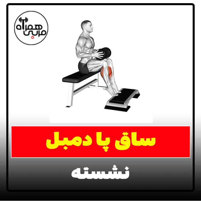 ساق پا دمبل نشسته آموزش اجرای صحیح حرکت آموزش ویدیویی 2520