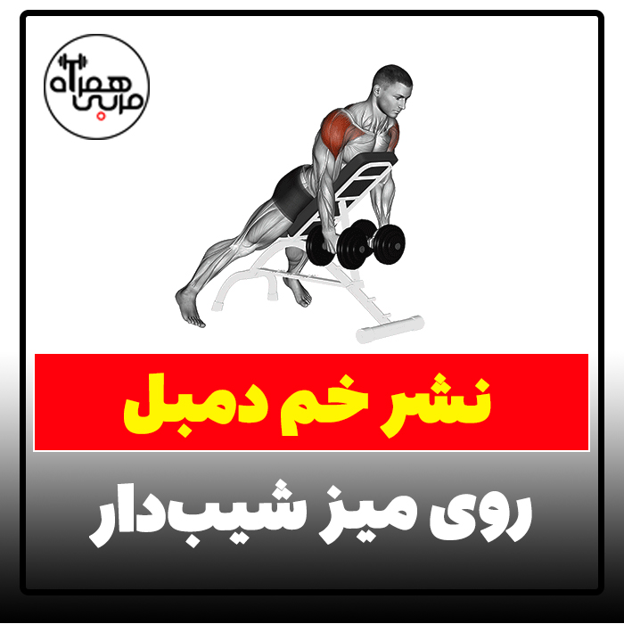 نشر خم دمبل روی میز شیب‌دار آموزش ویدیویی اجرای صحیح حرکت 5235