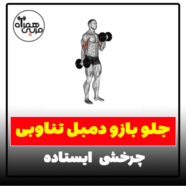 جلو بازو دمبل تناوبی چرخشی ایستاده آموزش ویدیویی اجرای حرکت 9225