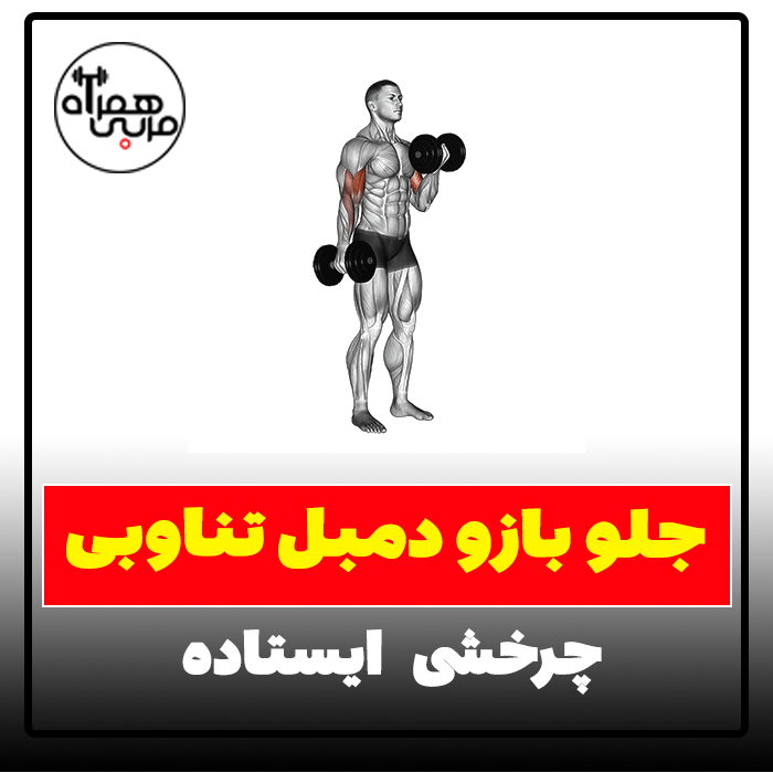 جلو بازو دمبل تناوبی چرخشی ایستاده آموزش ویدیویی اجرای حرکت 4313