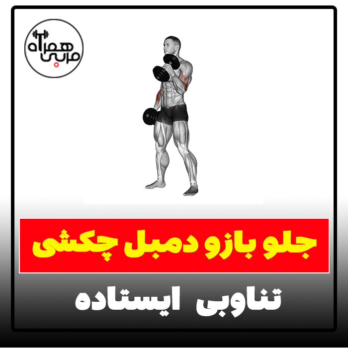 جلو بازو دمبل چکشی تناوبی ایستاده آموزش ویدیویی اجرای حرکت 9033