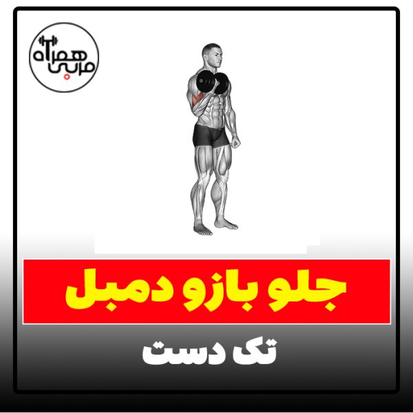 جلو بازو دمبل تک دست ایستاده آموزش ویدیویی حرکت مربی همراه 9029