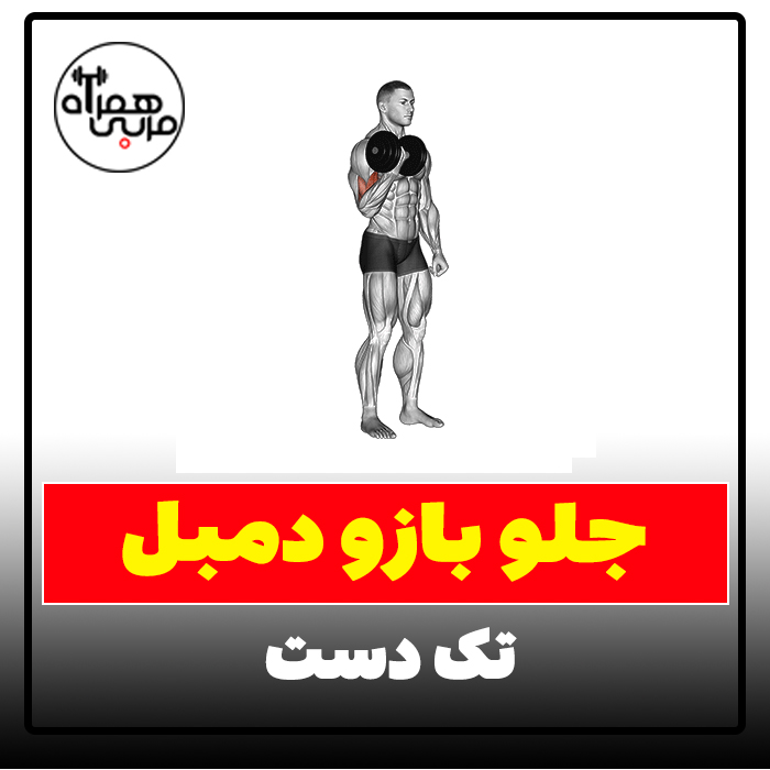 جلو بازو دمبل تک دست ایستاده آموزش ویدیویی حرکت مربی همراه 9480