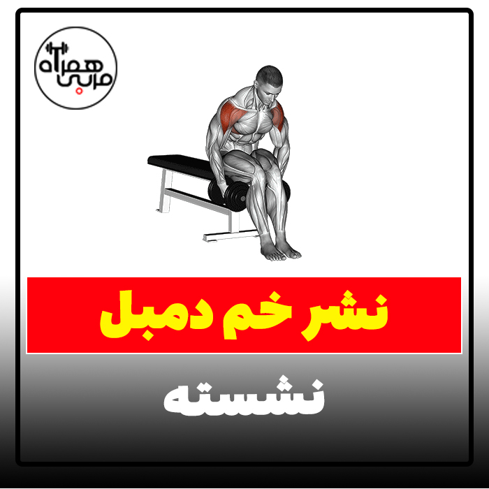 نشر خم دمبل نشسته آموزش ویدیویی اجرای صحیح حرکت مربی همراه 7708