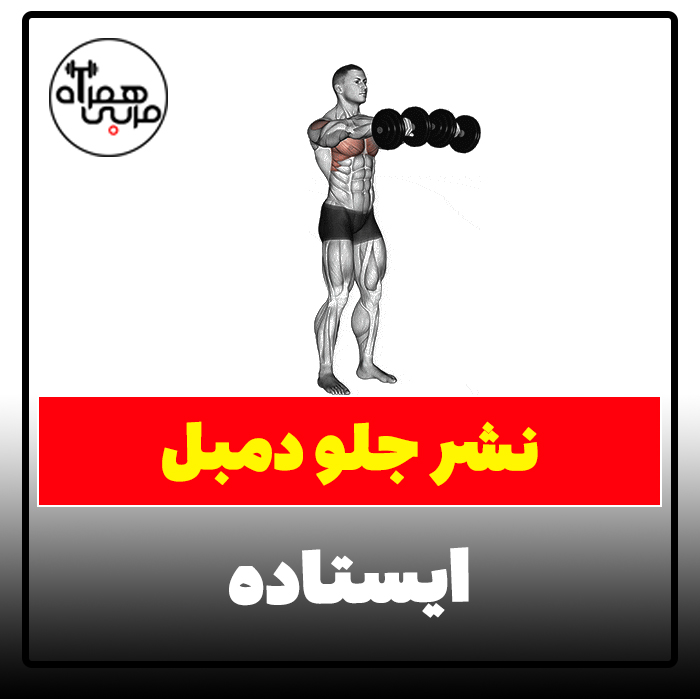 نشر جلو دمبل ایستاده آموزش ویدیویی اجرا حرکت مربی همراه 9135
