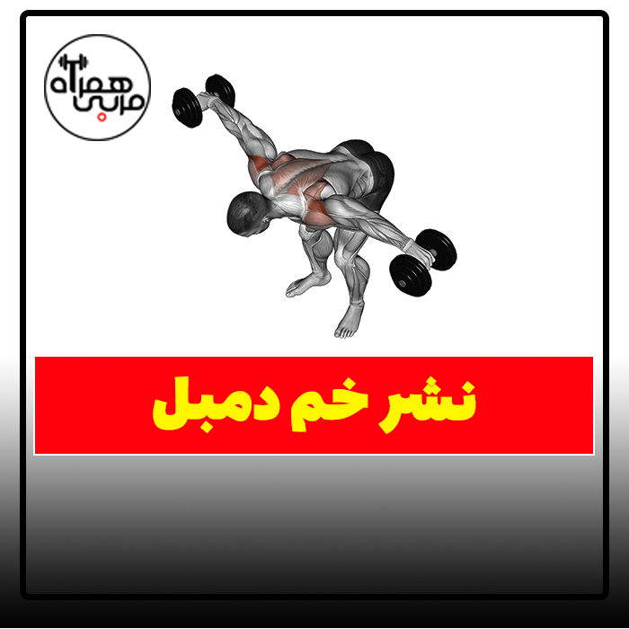 نشر خم دمبل آموزش ویدیویی نحوه اجرای صحیح حرکت مربی همراه 1762