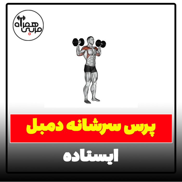پرس سرشانه دمبل ایستاده آموزش ویدیویی اجرا حرکت مربی همراه 9057