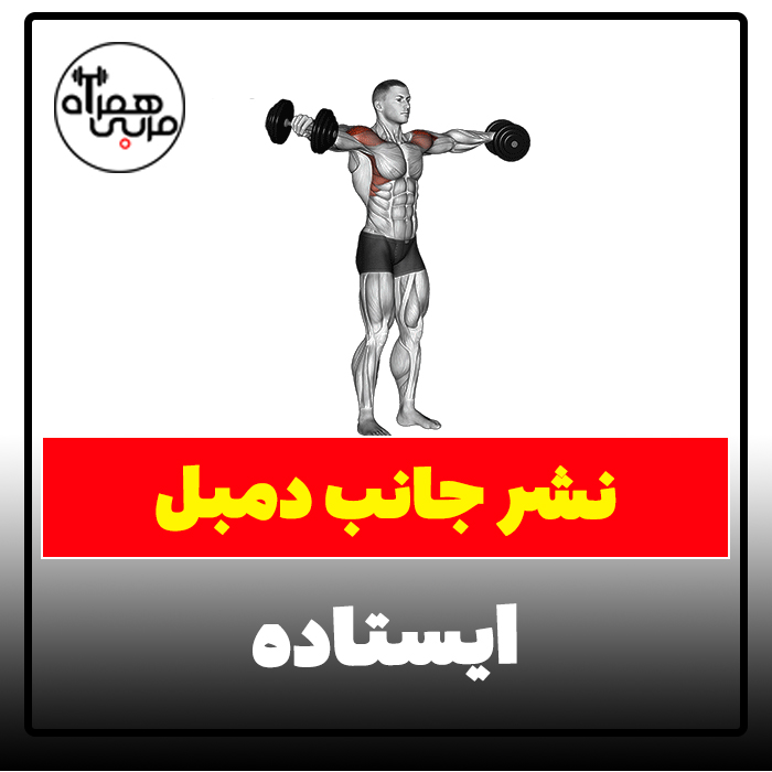 نشر جانب دمبل ایستاده آموزش ویدیویی اجرا حرکت مربی همراه 6360