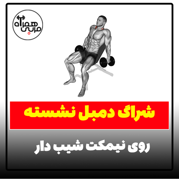 شراگ دمبل نشسته روی نیمکت شیبدار آموزش ویدیویی مربی همراه 4716