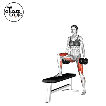 استپ آپ جانبی با دمبل| آموزش ویدیو اجرای حرکت| مربی همراه