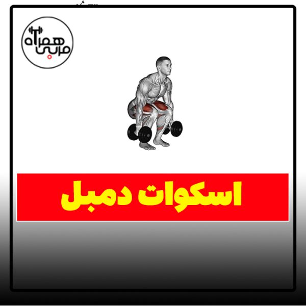 اسکوات دمبل آموزش ویدیویی نحوه اجرای حرکت مربی همراه 2477