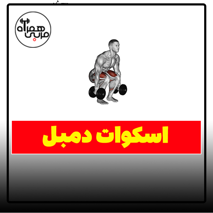 اسکوات دمبل آموزش ویدیویی نحوه اجرای حرکت مربی همراه 8595