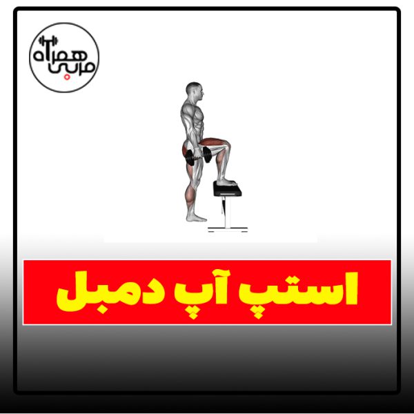 استپ آپ دمبل آموزش ویدیویی اجرای صحیح حرکت مربی همراه 8233