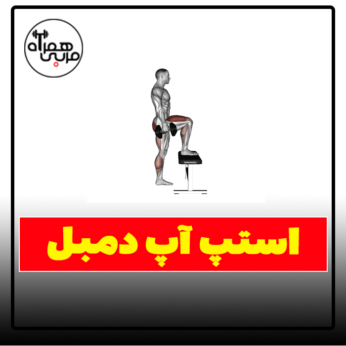 استپ آپ دمبل آموزش ویدیویی اجرای صحیح حرکت مربی همراه 3276